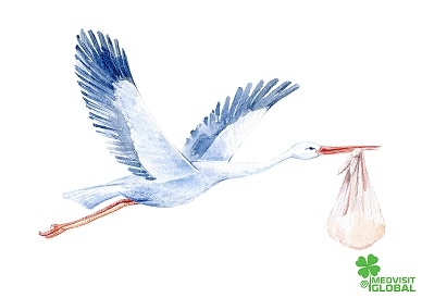 What Is Behind the Myth that Storks Deliver Babies?